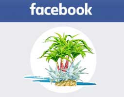 Find us on Facebook